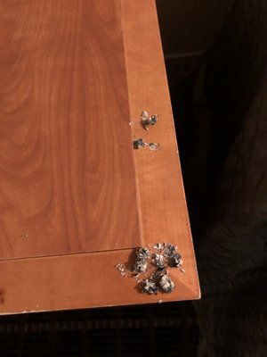 Marietta, FL Map & Directions - MapQuest