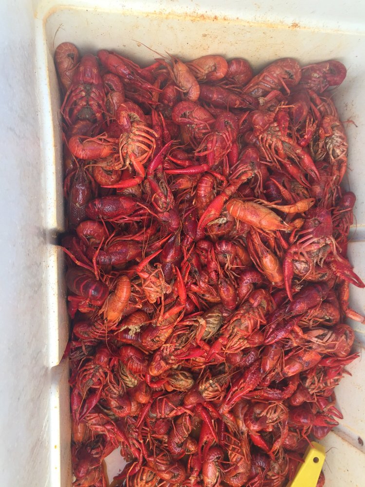 Swamp Daddy Crawfish - Seafood - 7547 Decker Dr, Baytown, TX ...