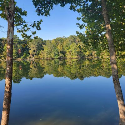 Mountain Pine, AR Map & Directions - MapQuest