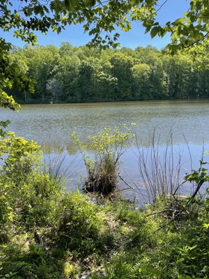 Hughesville, MD Map & Directions - MapQuest