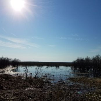 Lake Harney Wilderness Area - 49 Photos - Hiking - 2395 Osceola Fish ...