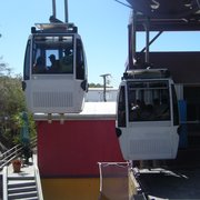 Skyride to Paradise Point - 140 Photos & 36 Reviews - Active Life ...