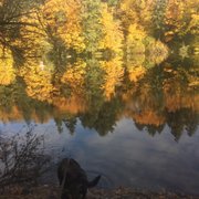 Lake Fenwick Park - 40 Photos & 14 Reviews - Parks - 25828 Lake Fenwick ...