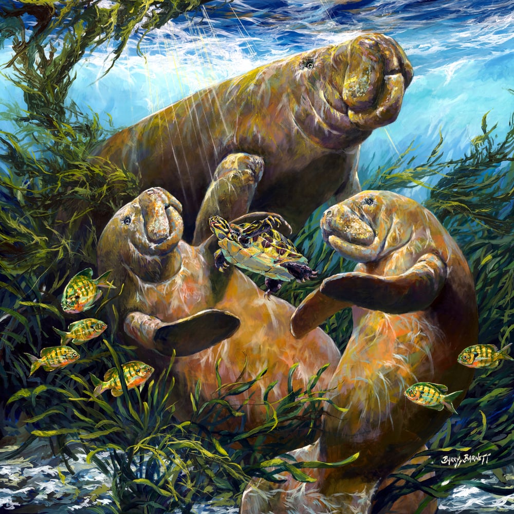 Barry Barnett Artist International - Art Galleries - Astor, FL - Phone ...