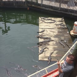 Gator Beach - Amusement Parks - Destin, FL - Yelp