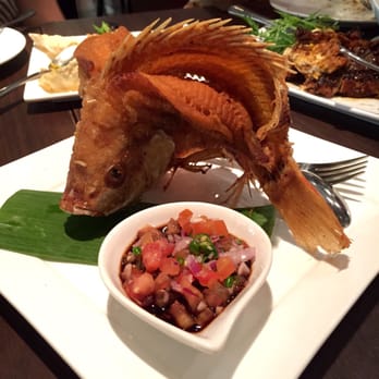 Dancing Fish - 2019 All You Need to Know BEFORE You Go (with Photos ...