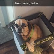 Grady Animal Hospital - 11 Photos & 30 Reviews - Veterinarians - 465 N ...