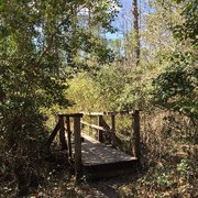 Desoto National Forest - Tuxachanie Trail POW Camp - 40 Photos - Hiking ...