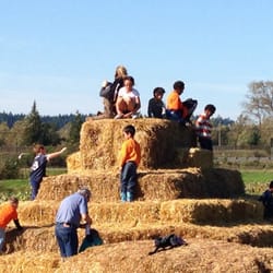 Schilter Family Farm - 28 Photos & 37 Reviews - Local Services - 141 ...