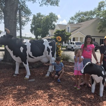 Calabash Creamery - 70 Photos & 110 Reviews - Ice Cream & Frozen Yogurt ...