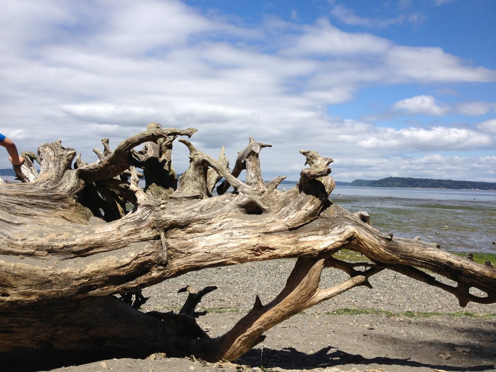 Tolmie State Park - 86 Photos & 29 Reviews - Parks - 7730 61st Ave NE ...