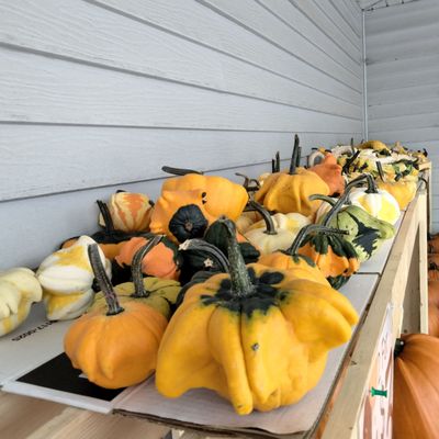 Mosinee, WI Map & Directions - MapQuest