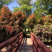 Knight Park - 18 Photos - Parks - Collings Ave Park Ave Browning Rd ...