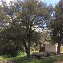 Camp Marston-Raintree YMCA - 32 Photos - Community Service/Non-Profit ...