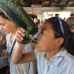 M.R. Ducks - 58 Photos & 102 Reviews - American (New) - 311 Talbot St ...