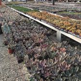 Isaac Farms - 249 Photos & 46 Reviews - Nurseries & Gardening - 18800 ...