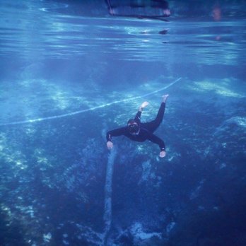 Fun 2 Dive Manatee Tours - 74 Photos & 35 Reviews - Snorkeling - 135 NE ...