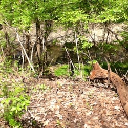 Rush Run Park - Parks - 200 Broadmeadow Blvd, Columbus, OH - Yelp