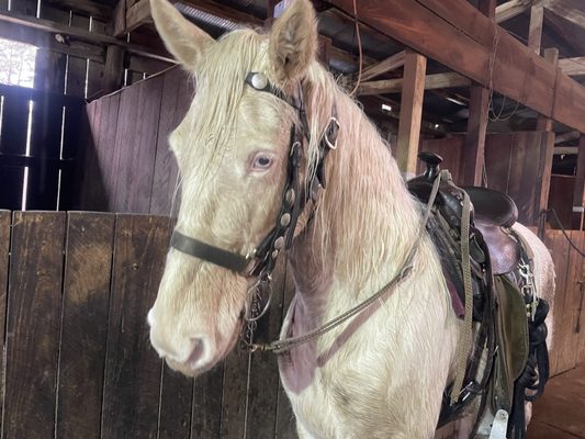 Robbins, TN Map & Directions - MapQuest