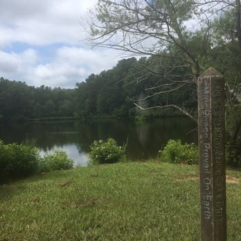 Anne Springs Close Greenway - 135 Photos & 39 Reviews - Hiking - 2573 ...