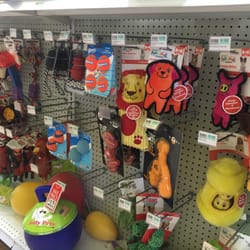 All 4 Pets - 18 Photos & 32 Reviews - Pet Stores - 425 S Avalon Park ...