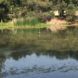 Don Castro Regional Recreation Area - 201 Photos & 52 Reviews - Parks ...