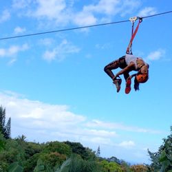 Jungle Zipline Maui - 186 Photos & 183 Reviews - Tours - 50 E Waipio Rd ...