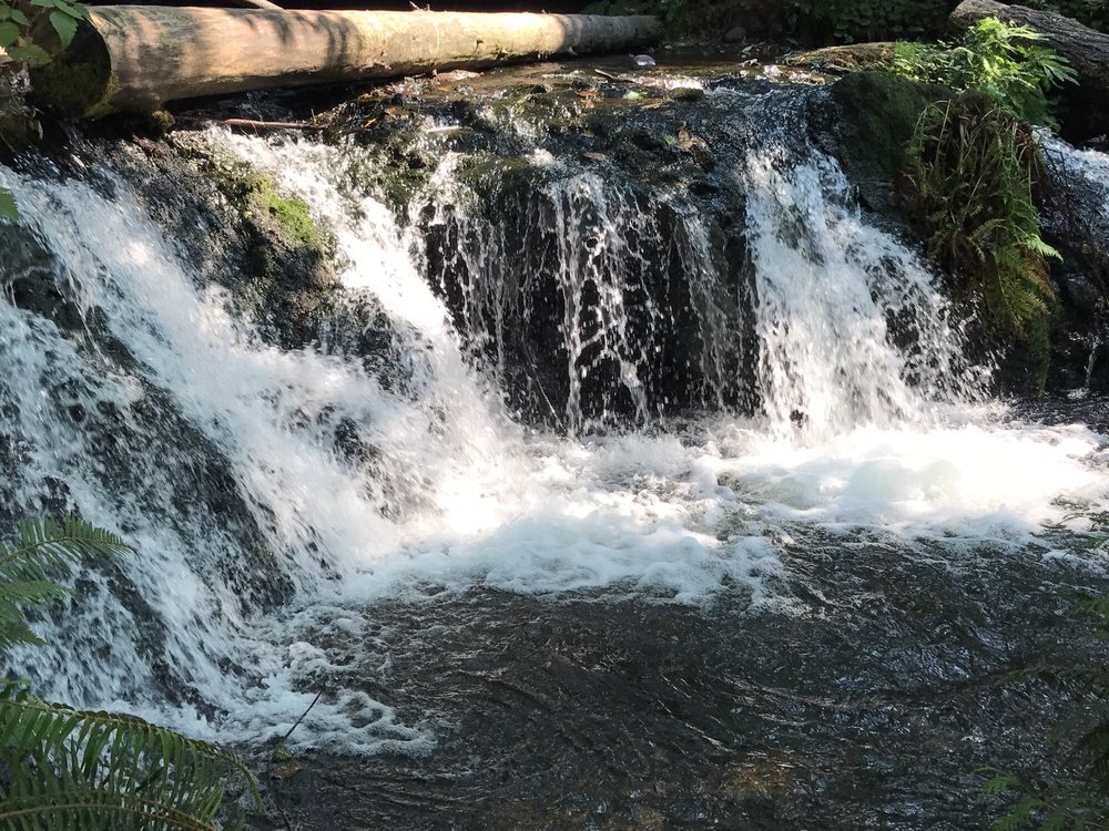 Victor Falls - 21 Photos - Parks - 18212 Rhodes Lake Rd E, Bonney Lake ...