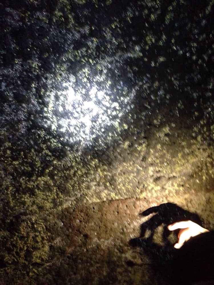 Subway Cave & Lava Tubes - 13 Photos - Parks - Unnamed Rd, Hat Creek ...