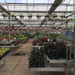 Woldhuis Farms Sunrise Greenhouse - 43 Photos & 17 Reviews - Nurseries ...