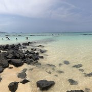 Shriners Beach Club - 62 Photos & 18 Reviews - Beaches - 41-525 ...