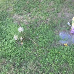 Assumption Cemetery - Chapel & Mausoleum - 16 Photos - Funeral Services ...