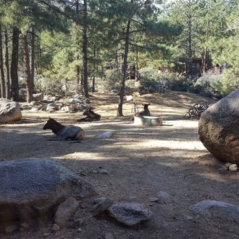 Hualapai Mountain Resort - 64 Photos & 38 Reviews - Hotels - 4525 ...