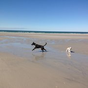 Chapin Memorial Beach - 29 Photos & 12 Reviews - Beaches - Dennis, MA ...