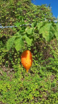 Gibsonton, FL Map & Directions - MapQuest