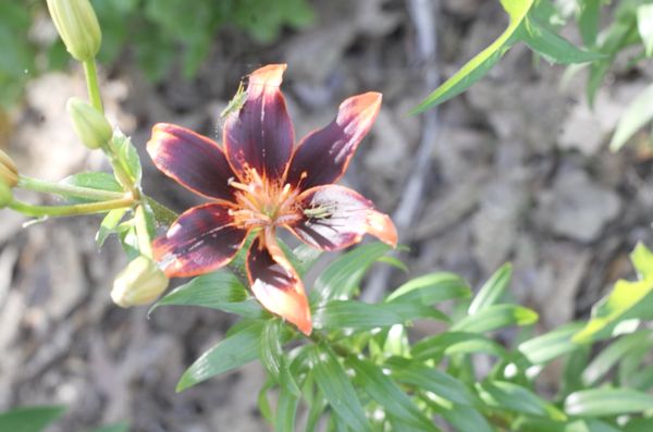 Hopkins, SC Map & Directions - MapQuest