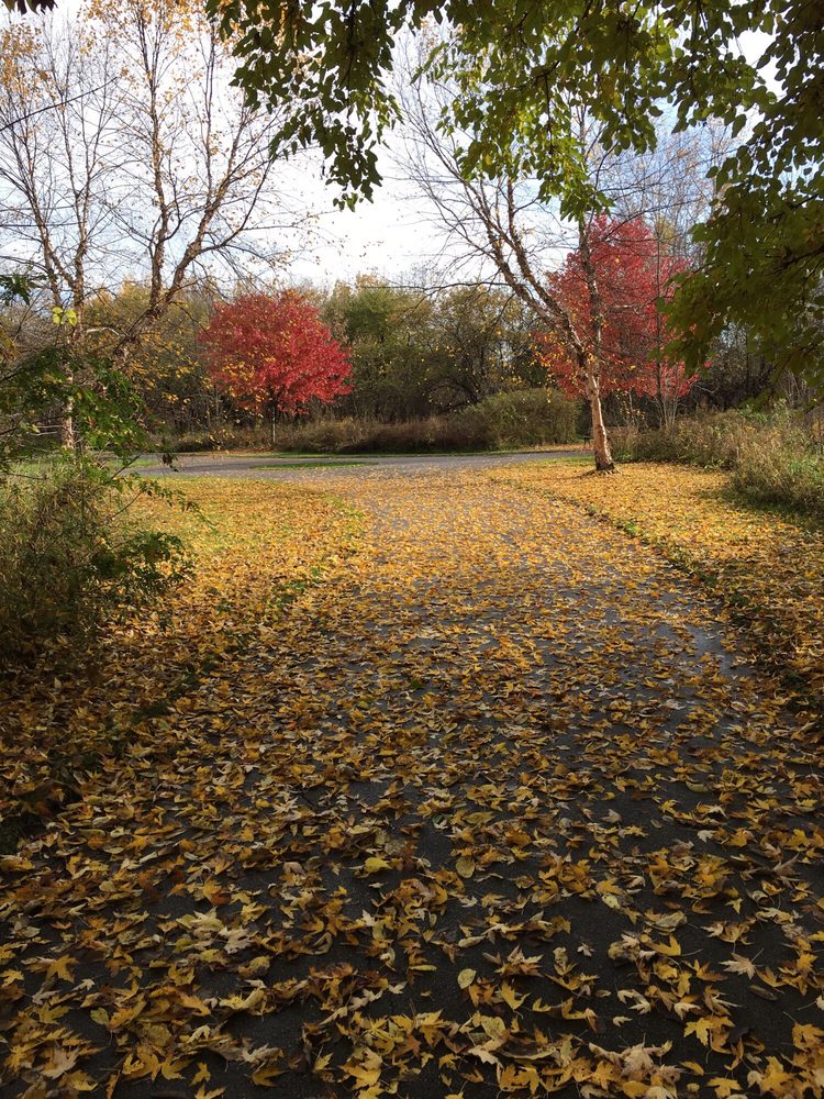 Waldenburg Park - 58 Photos - Playgrounds - 19225 21 Mile Rd, Macomb ...