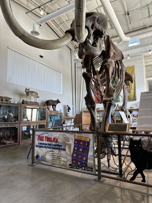 Firebaugh, CA Map & Directions - MapQuest