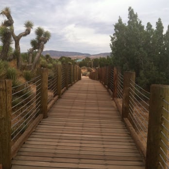 Prime Desert Woodland Preserve - 73 Photos & 41 Reviews - Local Flavor ...
