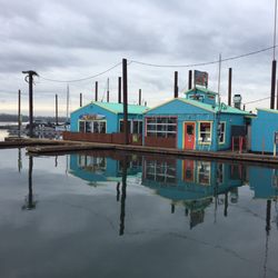 The Puffin Cafe - 61 Photos & 91 Reviews - Fish & Chips - 14 S A St ...