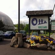 Ott’s Exotic Plants - 64 Photos & 26 Reviews - Nurseries & Gardening ...