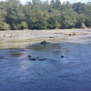 Jones Bridge Park - 108 Photos & 20 Reviews - Parks - 4901 E Jones ...