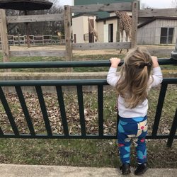 Henry Vilas Park Zoo - 148 Photos & 123 Reviews - Zoos - 702 S Randall ...