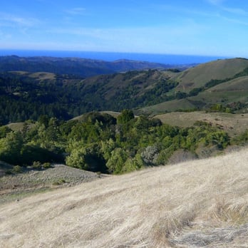Russian Ridge Open Space Preserve - 308 Photos & 78 Reviews - Parks ...
