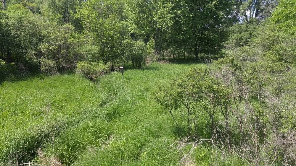 Stage Nature Center - 10 Photos - Hiking - 6685 Coolidge Hwy, Troy, MI ...