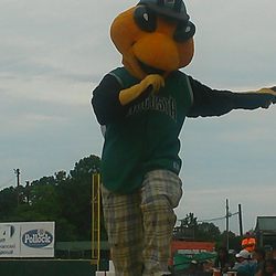 Augusta GreenJackets Baseball Club - 56 Photos - Amateur Sports Teams ...