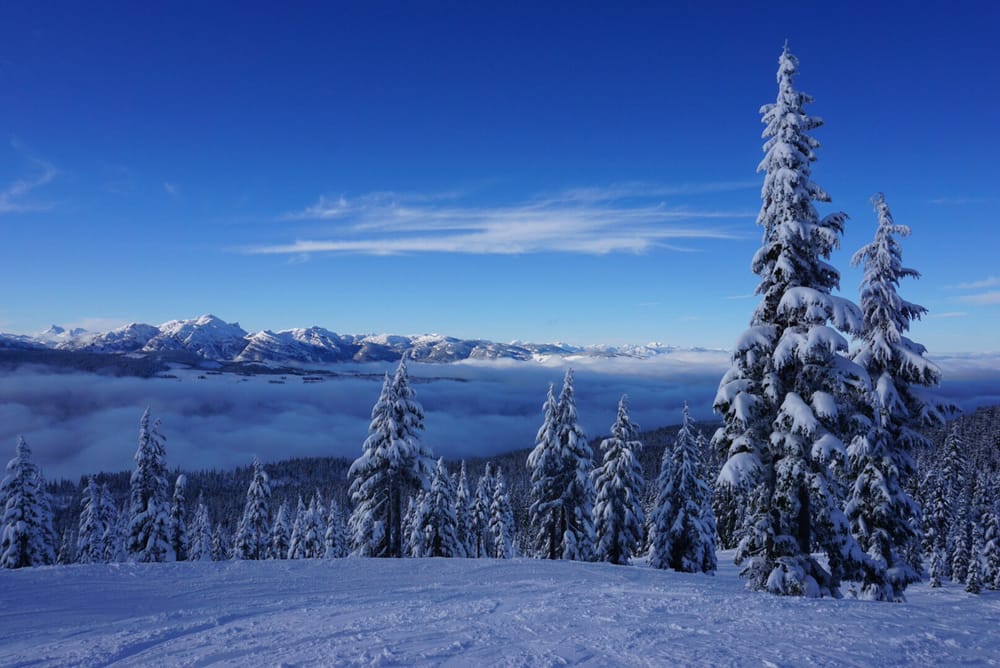 Mount Washington Alpine Resort - 19 Photos & 12 Reviews - Ski Resorts ...