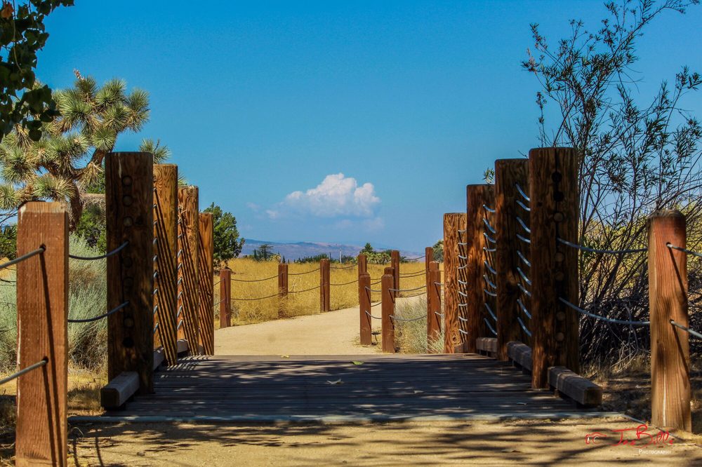 Prime Desert Woodland Preserve - 73 Photos & 41 Reviews - Local Flavor ...