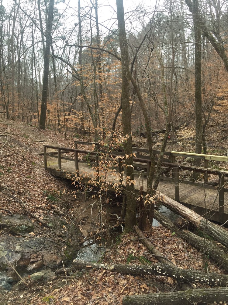 Charlie Elliott Wildlife Center - 84 Photos - Fishing - 543 Elliott Trl ...