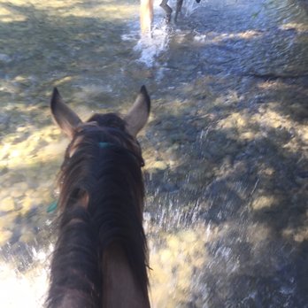 Bandera Historical Rides - 101 Photos & 10 Reviews - Horseback Riding ...